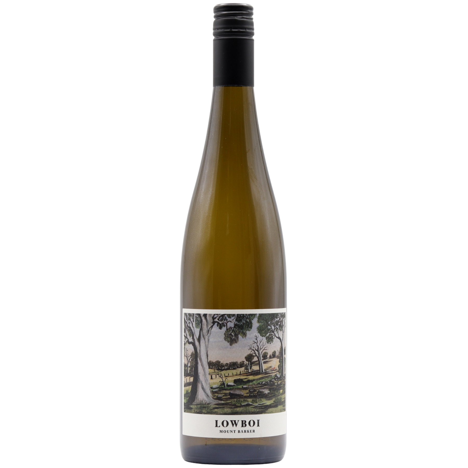 LOWBOI - GRUNER VELTLINER – Mane Specialist Bottleshop